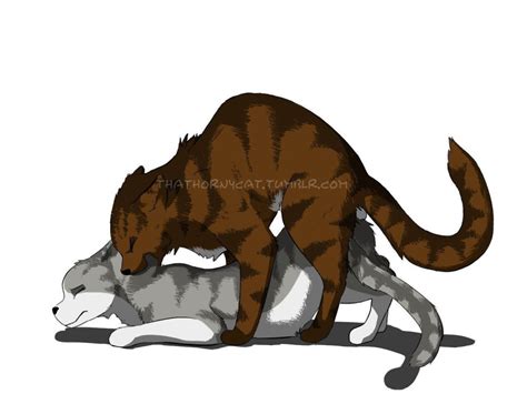 Rule 34 Brown Fur Feline Female Feral Fur Grey Fur Hawkfrost Warriors Ivypool Warriors