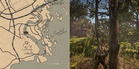 Red Dead Redemption 2 All 5 Ghost Orchids Locations Fdjy