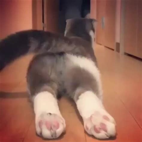 Posing 101 Album On Imgur Posing 101 Album On Imgur