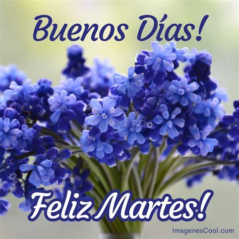 Top Imágenes De Feliz Martes Únicas Y Especiales Imágenes Cool