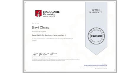 Jiayi Lucy Zhang On Linkedin Completion Certificate For Excel Skills For Business