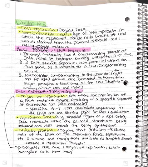 Biology Notes Chapter 16 Bio 151 Studocu