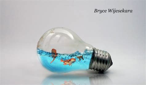 Light Bulb Assignment