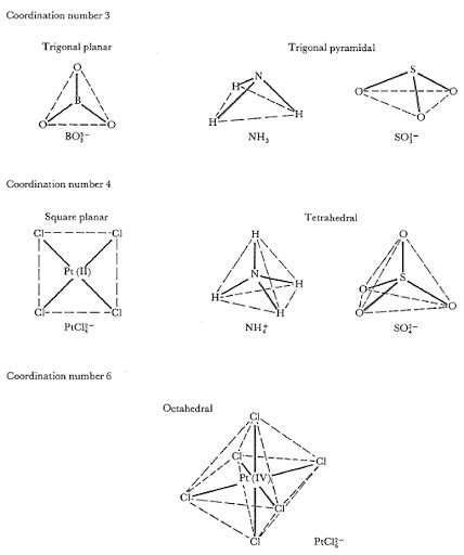 Coordination Number Definition And Role In Molecular Geometry