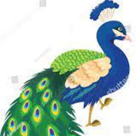 Yatish Kumar Doctor Of Philosophy National University Of Educational Planning And