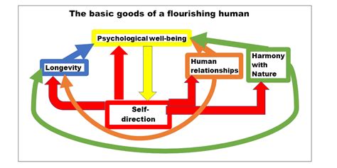 Freedom And Flourishing What Determines Opportunities For Humans To Flourish