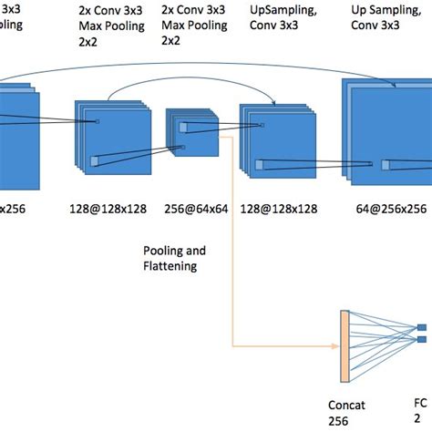 Multi Task Classification And Segmentation The Shared Encoder Learns Download Scientific