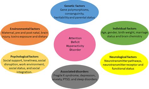 Exploring The Causes Of Adhd Ask The Nurse Expert