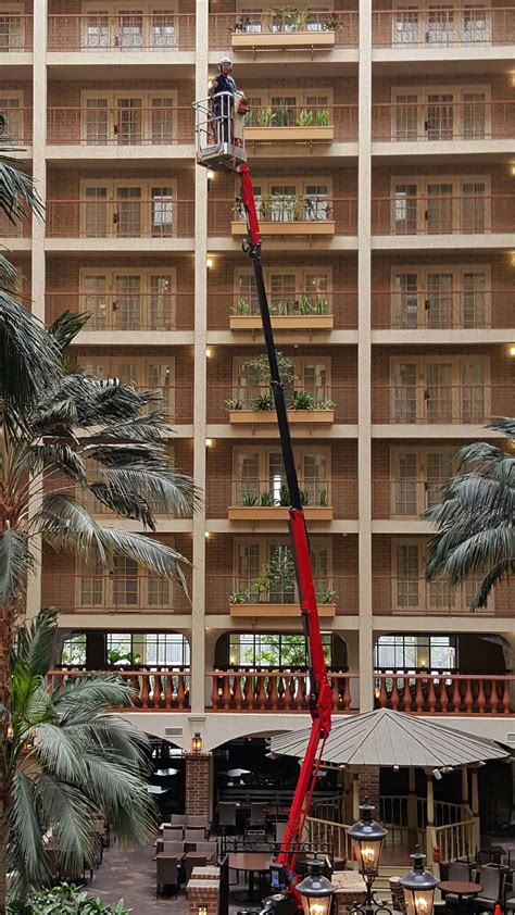 Tree Trimming Pruning And Maintenance By Full Canopy Tree Care