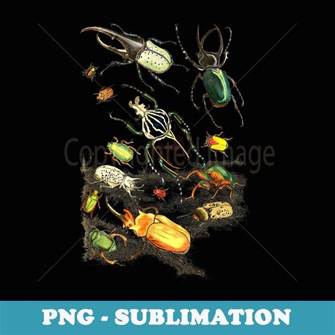 Insects Collection Species Bugs Vintage Chart Entomology P Inspire