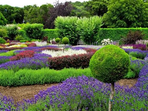 “ფილოლის ყვავილთა ბაღი” Genia Ge