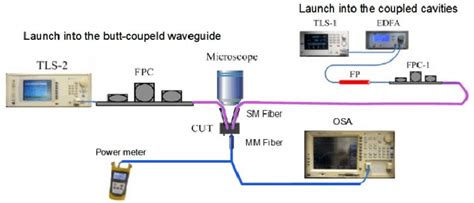 Schematic Of The Setup Used To Test The Device Tls Tunable Laser Download Scientific Diagram