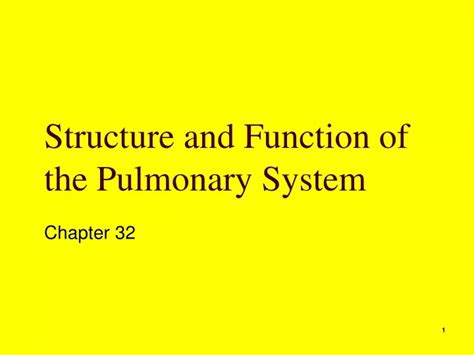 Ppt Pulmonary System Structures Functions And Circulation Powerpoint Presentation Id9551462