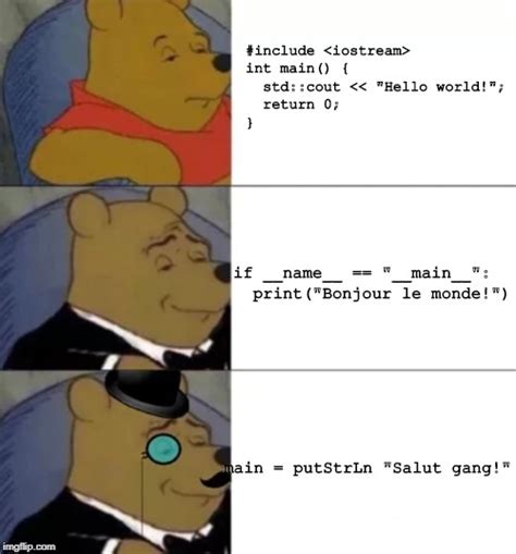 Winnie Le Caca Programmeur Rquebec