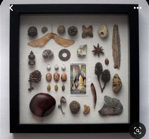 Pin By Dinele Stewart On Crafts Shadow Box Art Oddities Decor Decor
