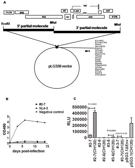 A Diagram Of The Full Length Molecular Cloning Method B Download Scientific Diagram