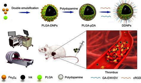 Polydopamine Modified Dual Ligand Nanoparticles As Highly Effective And