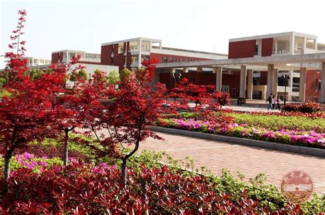 我的母校美丽的新余学院第4辑 静落凝封