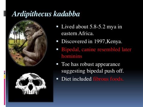 Tracing The Human Evolution