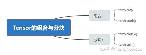 一起来学pytorch——pytorch基础 知乎