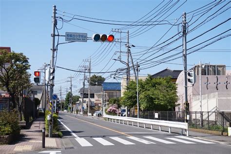 相模台小学校前 信号機 我輩見聞録