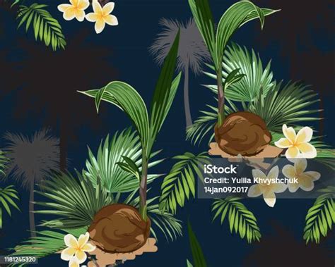 아름 다운 열 빈티지 야자수와 코코넛 꽃 원활한 패턴 어두운 파란색 배경입니다 코코넛 야자수 플루메리아와 이국적인 정글 벽지 0명에 대한 스톡 벡터 아트 및 기타 이미지