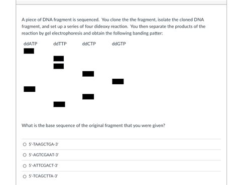 Solved A Piece Of Dna Fragment Is Sequenced You Clone The