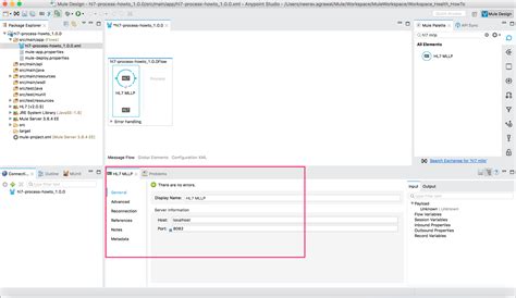 Howto Handle Hl7 Messages With Anypoint Platform Mulesoft Blog