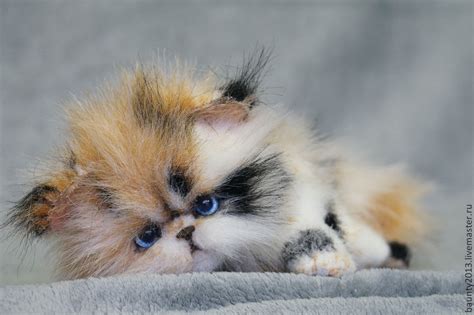 Харизма, кошка. тедди, котёнок. в интернет-магазине на Ярмарке Мастеров ...