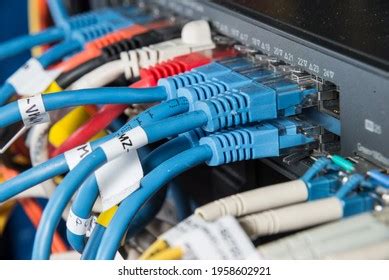 Network Switch Utp Ethernet Cables Stock Photo 109305173 Shutterstock