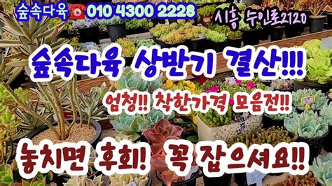 숲속다육 상반기결산착한가격으로 모음전 2천부터 초특가대품군생 사이즈좋은 3천다육은2개5천 보시면득템유료광고포함 Youtube