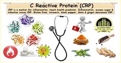 C Reactive Protein Test Purpose Procedure And Results