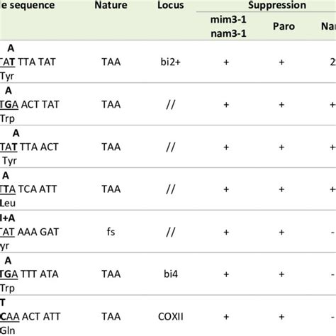Nucleotide Sequence Of Mitochondrial Mutations Suppressed Either By The