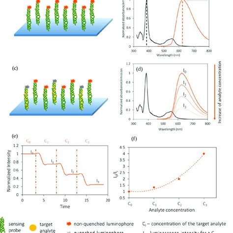sensitivity limit of detection and dynamic range of a calibration