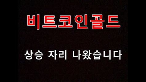 비트코인골드 상승 자리 나왔습니다 매도하지 마세요 Youtube