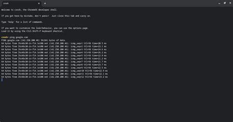 The Top 12 Crosh Commands Every Chromebook Owner Should Know
