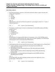 PTS 1 DIF Cognitive Level Understanding 18 What Structure In The Male Lies Course Hero