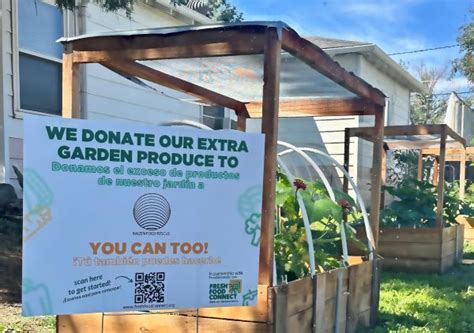 Expert Advice Top Ways To Create Garden Shade