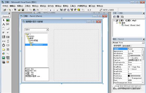 Vb中的文件夹和文件路径的控制【vb学习笔记2020课堂版11】 阿里云开发者社区