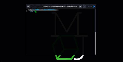 hunter gui osint framework with kali linux handla it