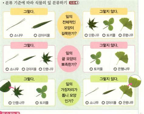 초등학습 과학 4 2 요점정리 식물의 생활 네이버 블로그