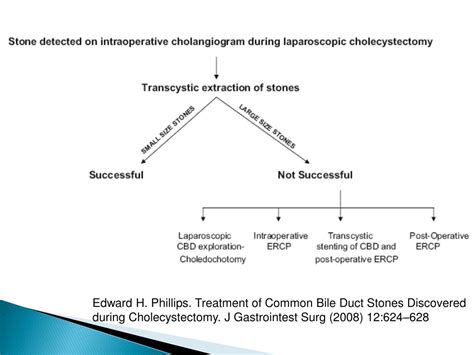 Ppt Management Of Cbd Stone During Laparoscopic Cholecystectomy Powerpoint Presentation Id