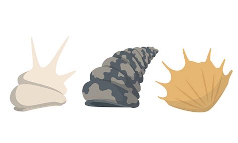 다채로운 열대 바다 조개 수중 아이콘 컬렉션 마린 세트 화이트 배경에 귀여운 스티커 벡터 그림입니다 초대장 인사말 카드 포스터 배너 및 전단지에 적합합니다 가리비에 대한