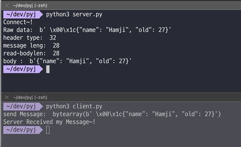 Socket 통신으로 Json 및 숫자를 Bytes로 보내기