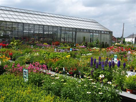 Intratuin Maldegem Weet Je Niet Wat Te Doen Op Deze Regenachtige