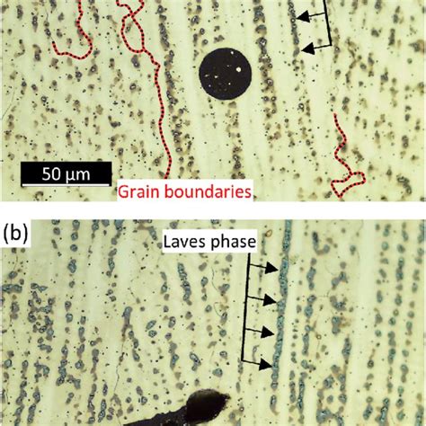 Rare A Gas Pore And B Lack Of Fusion Defects From Fig 4 B With Download Scientific
