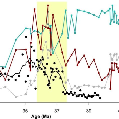 Capture Mark Recapture Analysis Output Showing Constant Rates Of