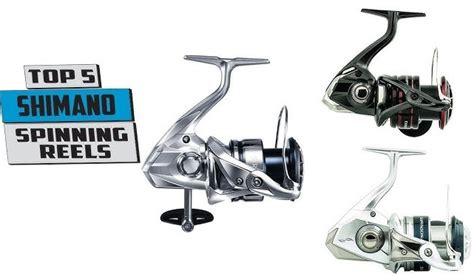 5 Best Shimano Saltwater Spinning Reels For Serious Anglers