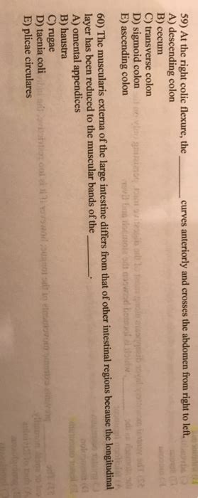 Solved At The Right Colic Flexure The Curves