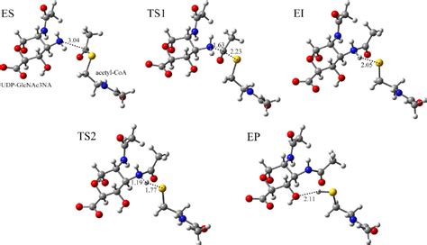 figure s3 optimized structures of reactant es transition states ts1